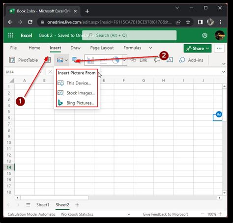 How To Use IMAGE Function In Excel Splaitor