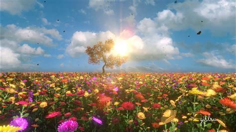 Girlru Vortex Meditation Dream Symphony Youtube
