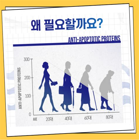 소연골 Vs 상어연골 콘드로이친 비교분석 당신의 선택은 네이버 블로그