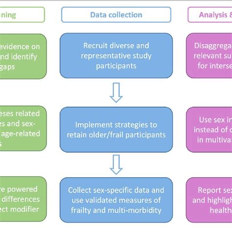 Roadmap For Sex Responsive Vaccinology Research In Older Adults