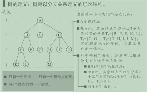 【数据结构】树与二叉树
