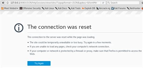 Connection Reset Making Request On Api · Issue 4129 · Zaproxyzaproxy