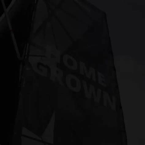 Nyenye Seabe On Linkedin Siemenshomegrown