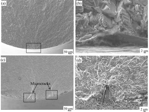 Fracture Surface Of The Substrate And Coated Samples After High Cycle