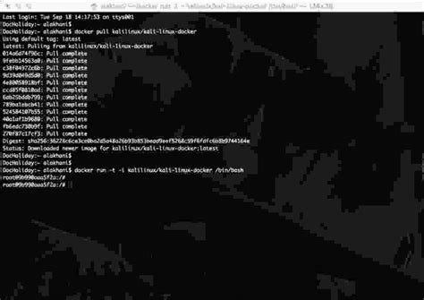 Running Kali Linux On Docker