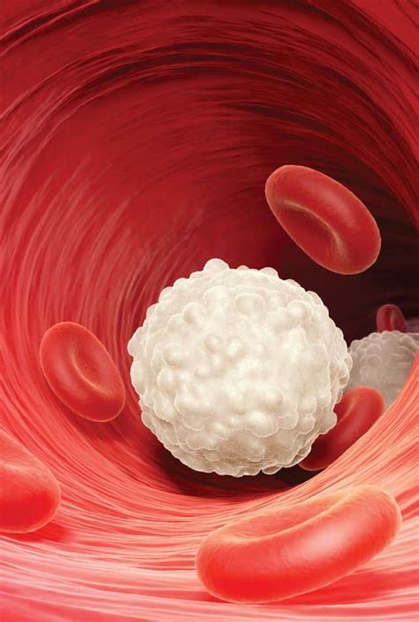 Prednisolone Side Effects 6 Known Side Effects