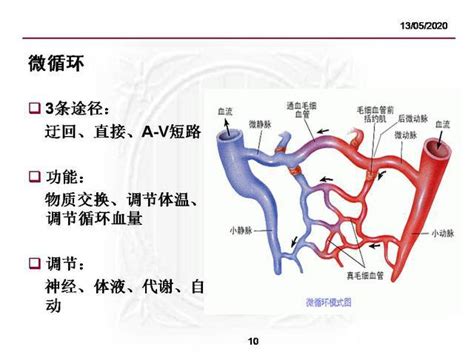 毛细血管渗漏综合征cls胶体