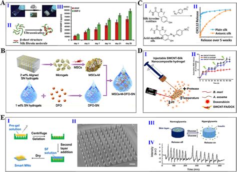 A I Photographs Of Silk Hydrogel Gelation Process Ii Diagram Of