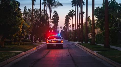 Federal Pretrial Release Or Detention Rebuttable Presumptions Factors Considered And