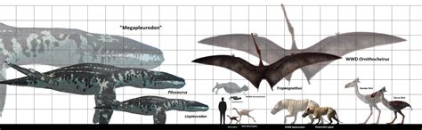 Liopleurodon Size Comparison