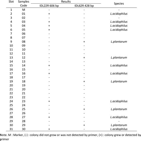Identification Of Lactic Acid Bacteria By Multiplex Pcr Method Download Scientific Diagram