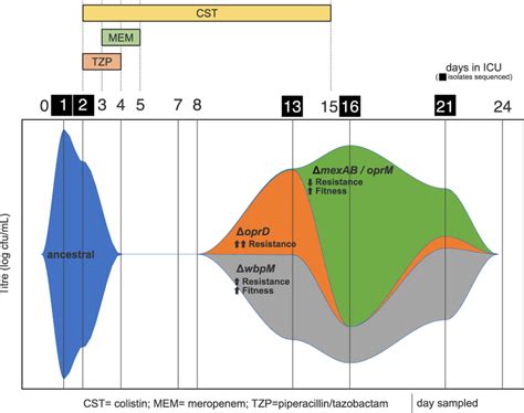 Of Bacterial Dynamics During Infection This Muller Plot Summarizes