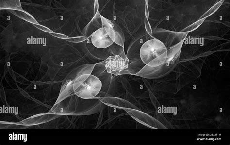 Quantum Correlation Effect Computer Generated Abstract Intensity Map