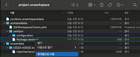 package resolved file is corrupted or malformed building setting와 info