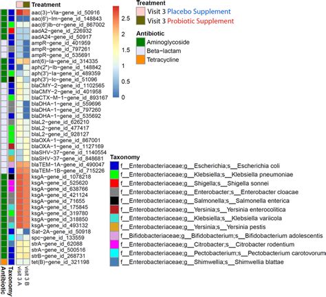 Shotgun Metagenomics Sequencing Was Used To Confirm The Enrichment Of Download Scientific