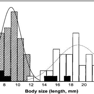 The Size Frequency Histogram Of Body Length Of Paired Males And Download Scientific Diagram