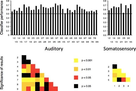 Cross Modal Multivariate Pattern Analysis Protocol