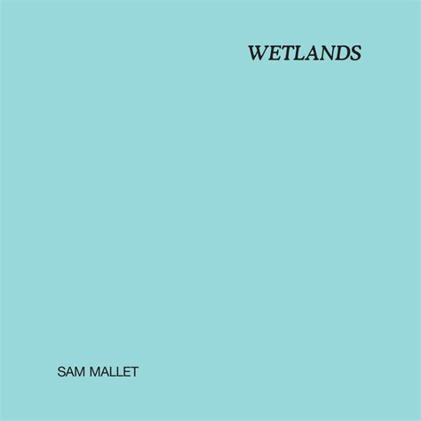 Sam Mallet Songs List Genres Analysis And Similar Artists Chosic