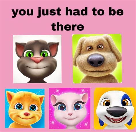 Talking Tom Memes At Dana Boling Blog