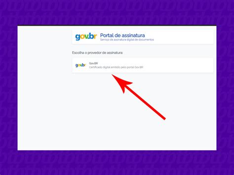 Como Fazer Uma Assinatura Digital Usando O Gov Br