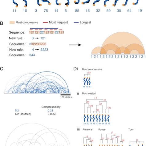 Dictionary Based Compression Extracts Hierarchical Structure In Posture