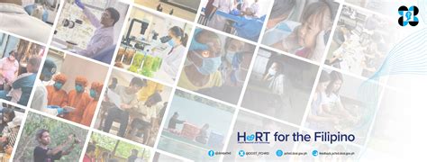 2025 Visayas Regional Scientific Meeting Rsm The Visayas Regional