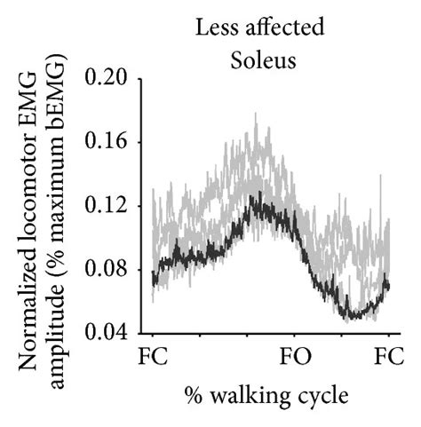 Background Emg During Walking Line Graphs Are Normalized And Averaged Download Scientific