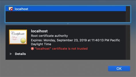 How To Trust A Self Signed Certificate On Macos For A Vuejs