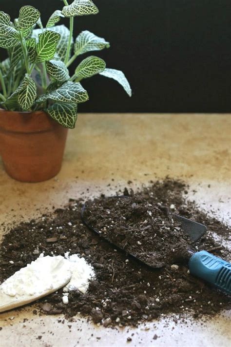 A Dozen Great Uses For Baking Soda In The Garden