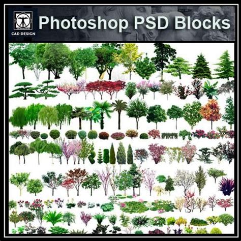 Pin On Photoshop PSD Landscape Pavilion