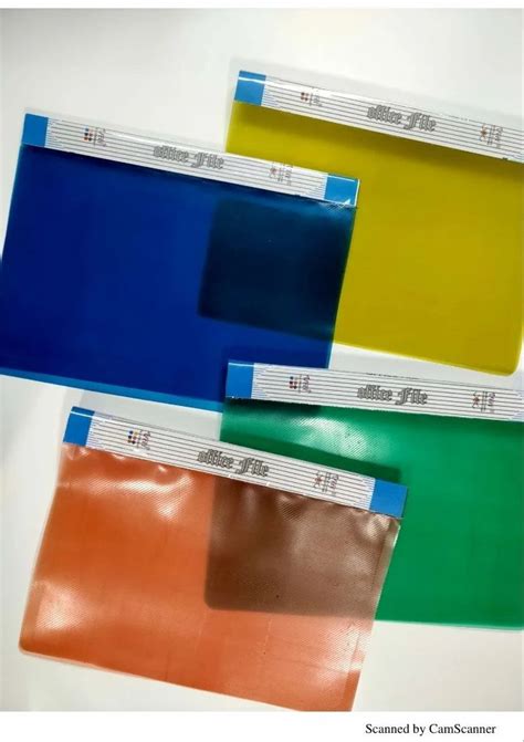 Plastic Report File At ₹ 55piece रिपोर्ट फ़ाइल In New Delhi Id 20248419073