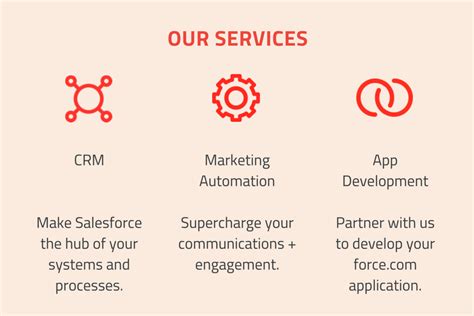 Salesforce Consultant Idealist Consulting