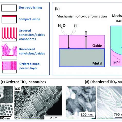 Pdf Innovative Surface Modification Procedures To Achieve Micro Nano Graded Ti Based