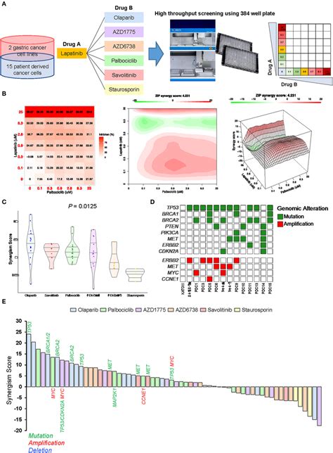 Systematic Evaluation Of Two Drug Combination Therapy In Gastric Pdcs