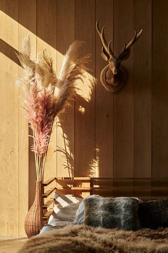 스카디아 스타일의 인테리어 아름다운 햇빛이 방을 조명하는 침실의 꽃병에 키가 큰 팜파 잔디 스칸디나비아 문화에 대한 스톡 사진 및 기타 이미지 스칸디나비아 문화 패션