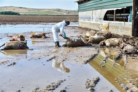 ΦΟΝΙΚΕΣ ΠΛΗΜΜΥΡΕΣ ΕΧΟΥΝ ΑΦΕΘΕΙ ΣΤΟ ΕΛΕΟΣ ΤΟΥ ΘΕΟΥ ΟΙ ΚΑΤΟΙΚΟΙ ΤΗΣ ΘΕΣΣΑΛΙΑΣ ΑΓΡΟΤΕΣ ΚΑΙ