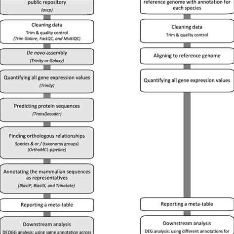 Flowcharts For Cormap Comparative Rna Seq Metadata Analysis Pipeline