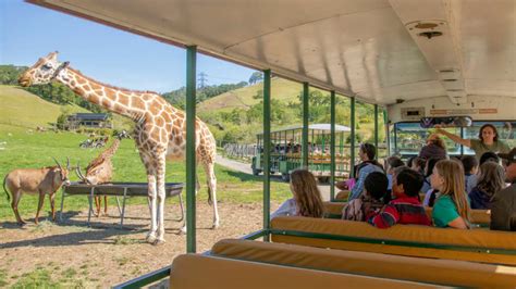 Safari West