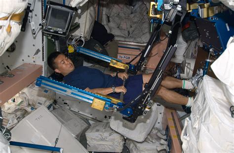 Astronaut Living In Space