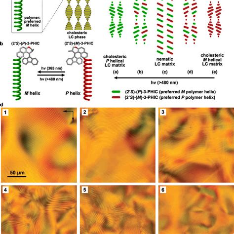 Pdf The Transformation Of Chiral Signals Into Macroscopic Properties Of Materials Using