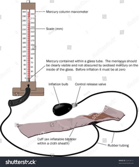 Mercury Sphygmomanometer Diagram At Hazel Anderson Blog
