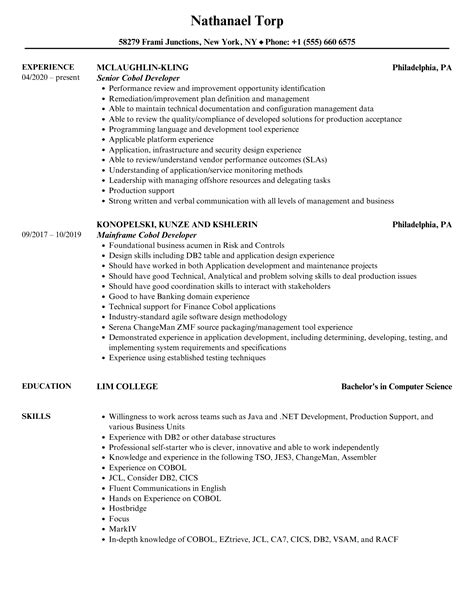 Cobol Developer Resume Samples Velvet Jobs