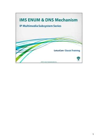 Ims Enum Dns Mechanism Pdf