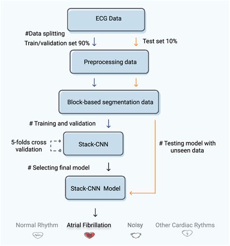 Ecgblocks A New Block Based Segmentation And Stacked Cnn For Atrial Fibrillation Detection