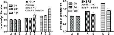 Mir 1 Inhibits Breast Csc Proliferation In Vitro Cd44cd24− Cscs From