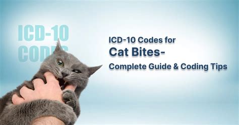 Icd 10 Codes For Cat Bites Complete Guide And Coding Tips