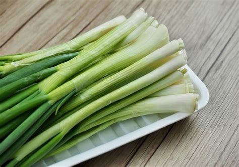 냉장고 좁다고 대파 ‘이렇게 보관… 항산화 성분 줄어든다