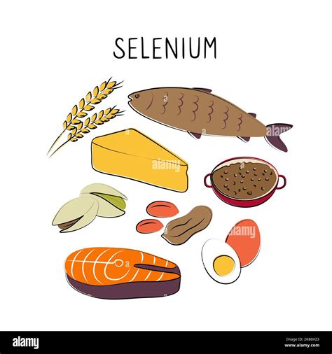 Foods Rich In Selenium