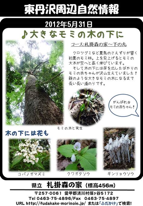 最近のふだかけ 過去の札掛周辺自然情報