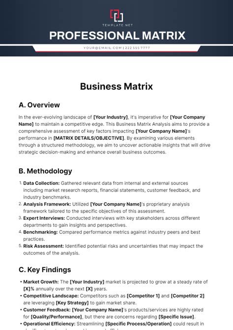 Business Matrix Template Edit Online And Download Example